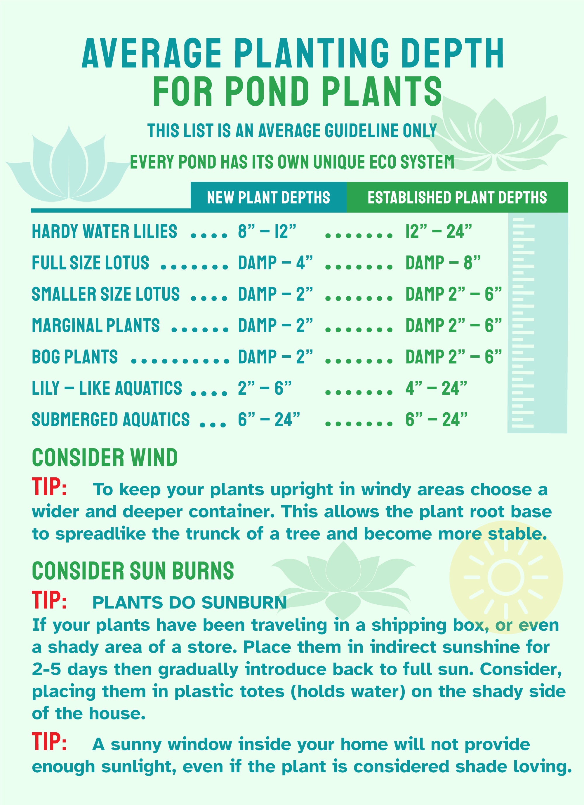 Marginal Pond Plants Chart Marginal Aquatic Plants